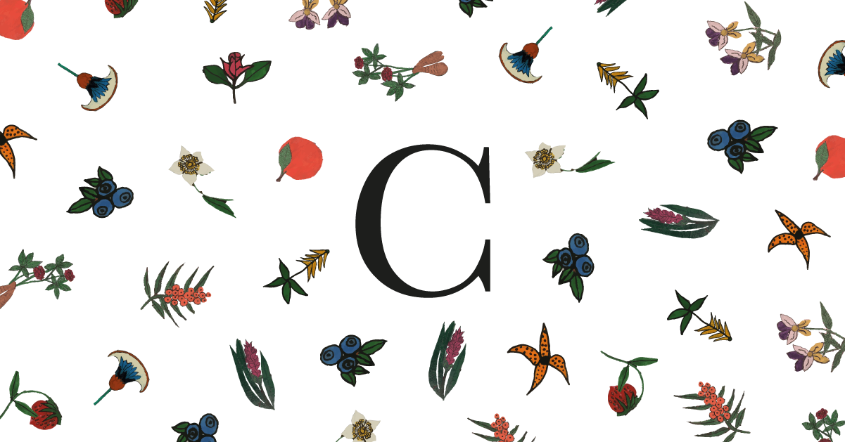 The Science – Collesta Cream